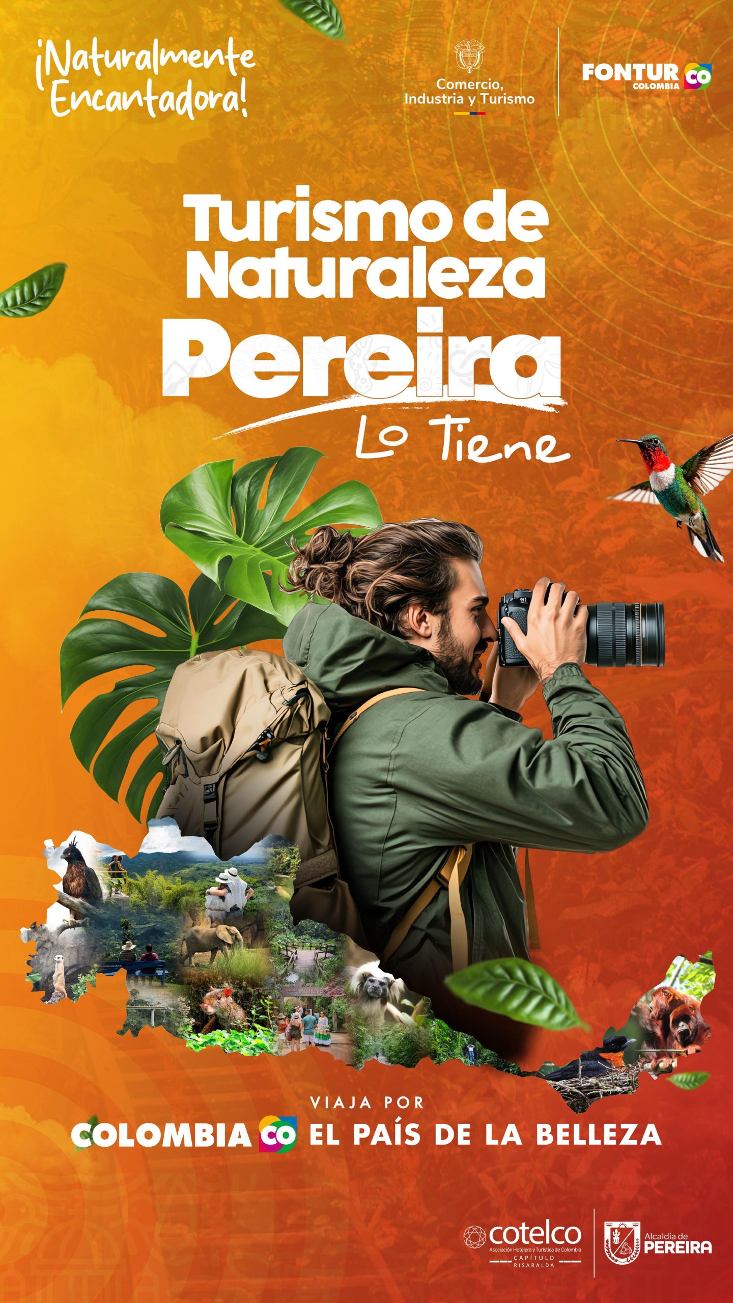 ¡Todo lo que buscas, Pereira lo tiene! - entretenimientotolima.com ...